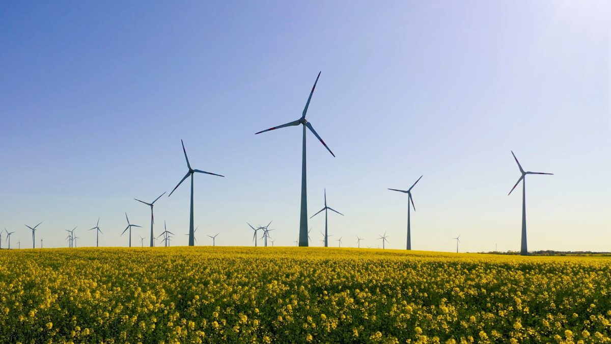 Approval of the combination of Envirotainer and va-Q-tec´s pharma ...